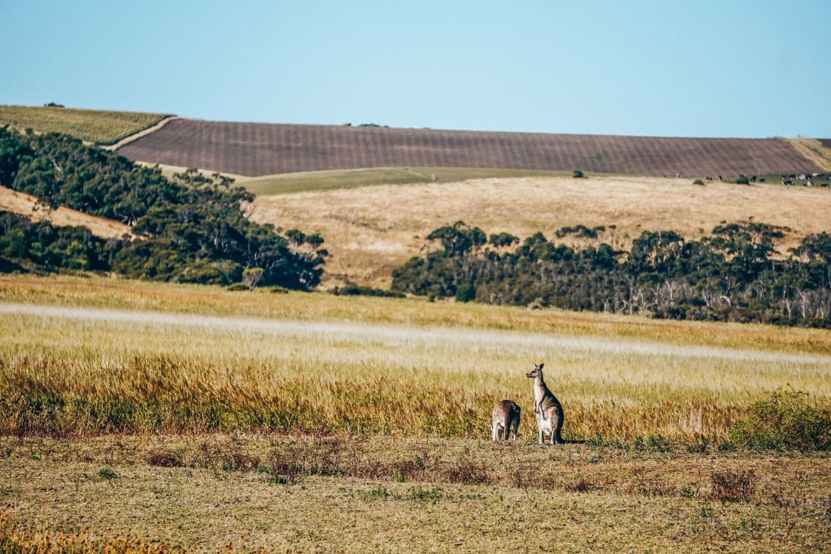 The Ultimate Guide To Camping In Australia | Faramagan
