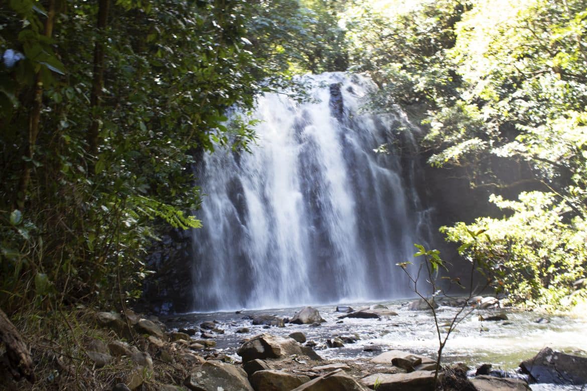 10 Cairns Waterfalls You Cannot Miss | Faramagan