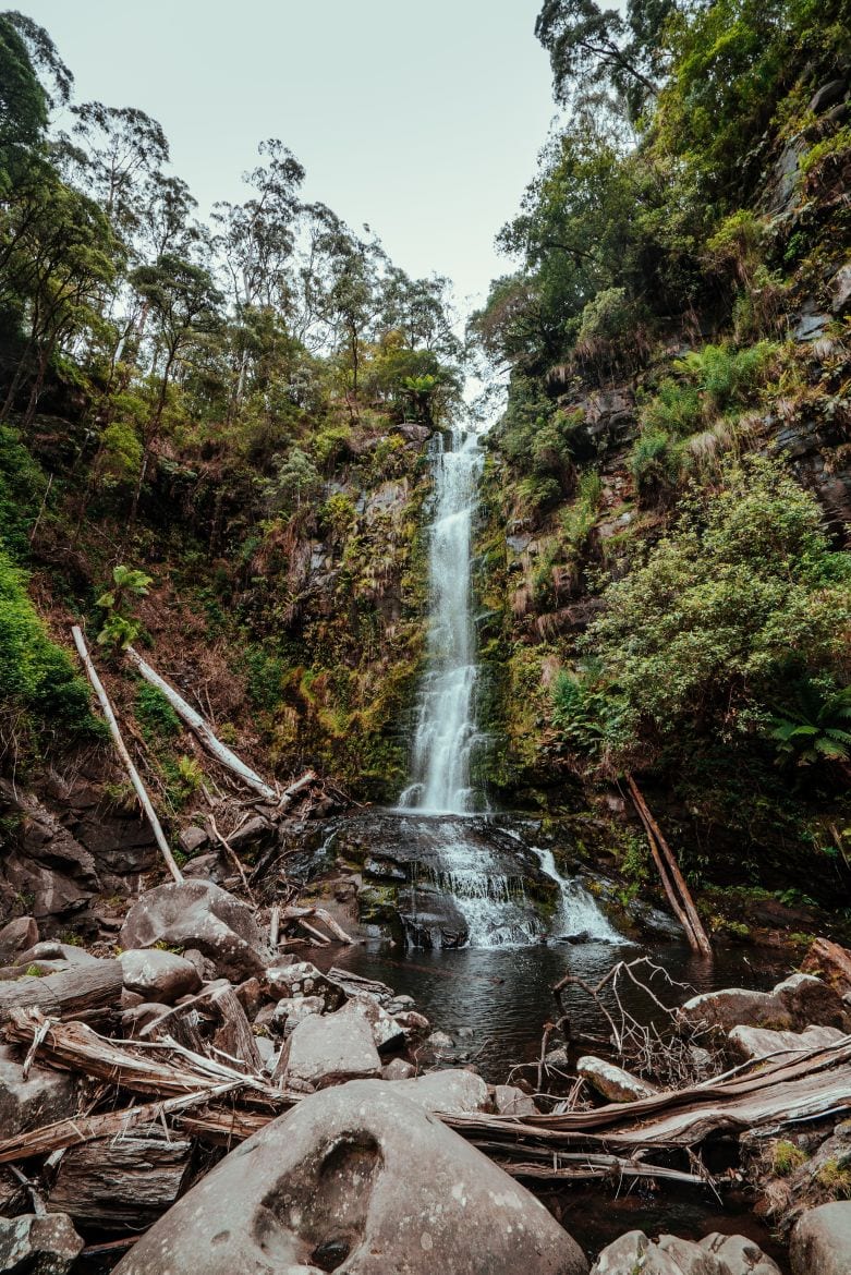 17 Of The Best Great Ocean Road Waterfalls | Faramagan