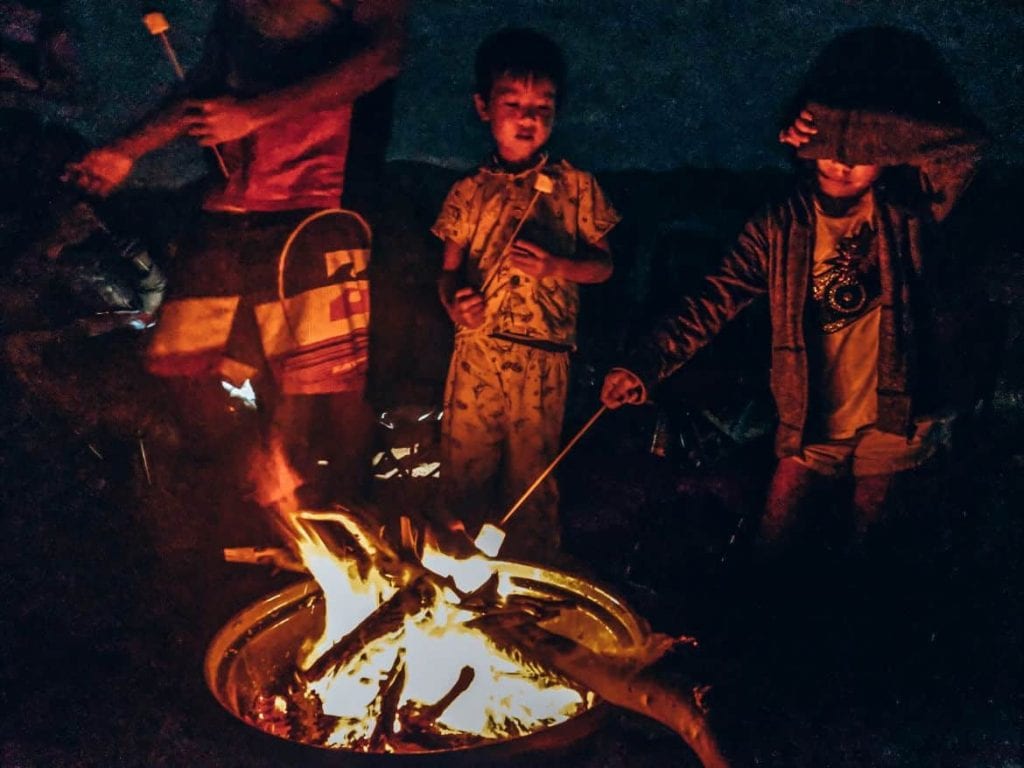 Midges in Scotland - A Local's Survival Guide | Faramagan