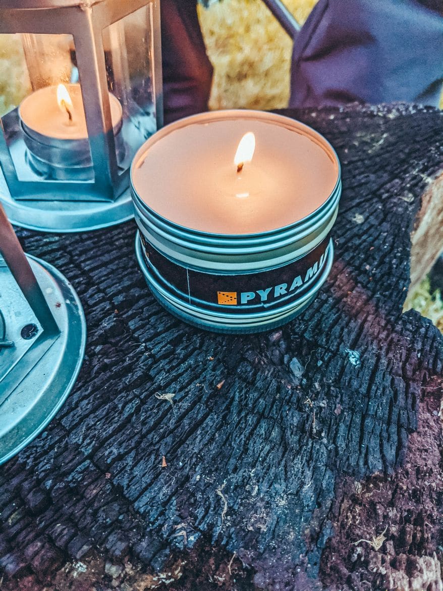 Midges in Scotland - A Local's Survival Guide | Faramagan